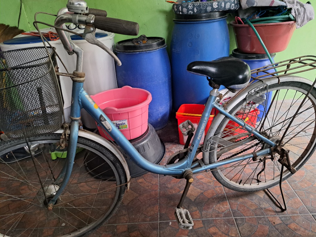 Japanese mountain bike marukin brand on Carousell