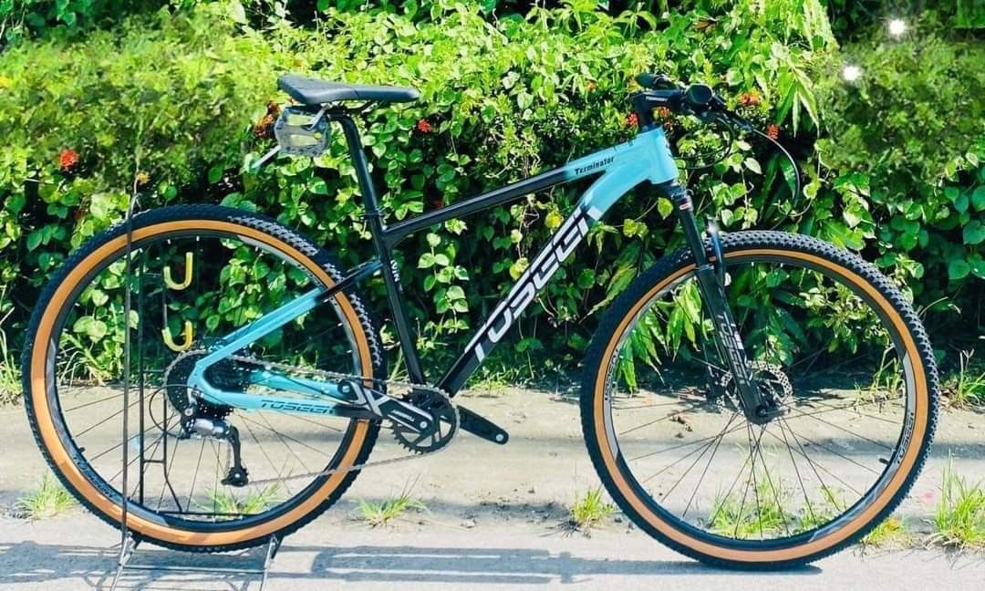 MTB Toseek Terminator 2022 1x9, Sports Equipment, Bicycles & Parts ...