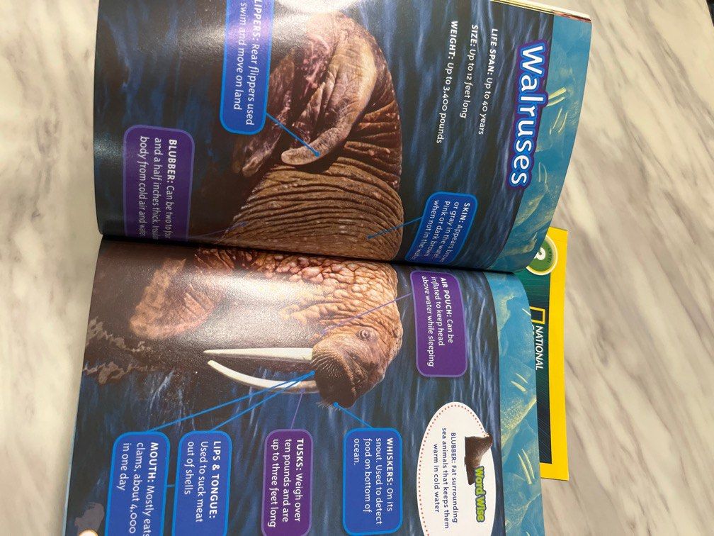 National Geographic Kids Level 3, Hobbies & Toys, Books & Magazines ...