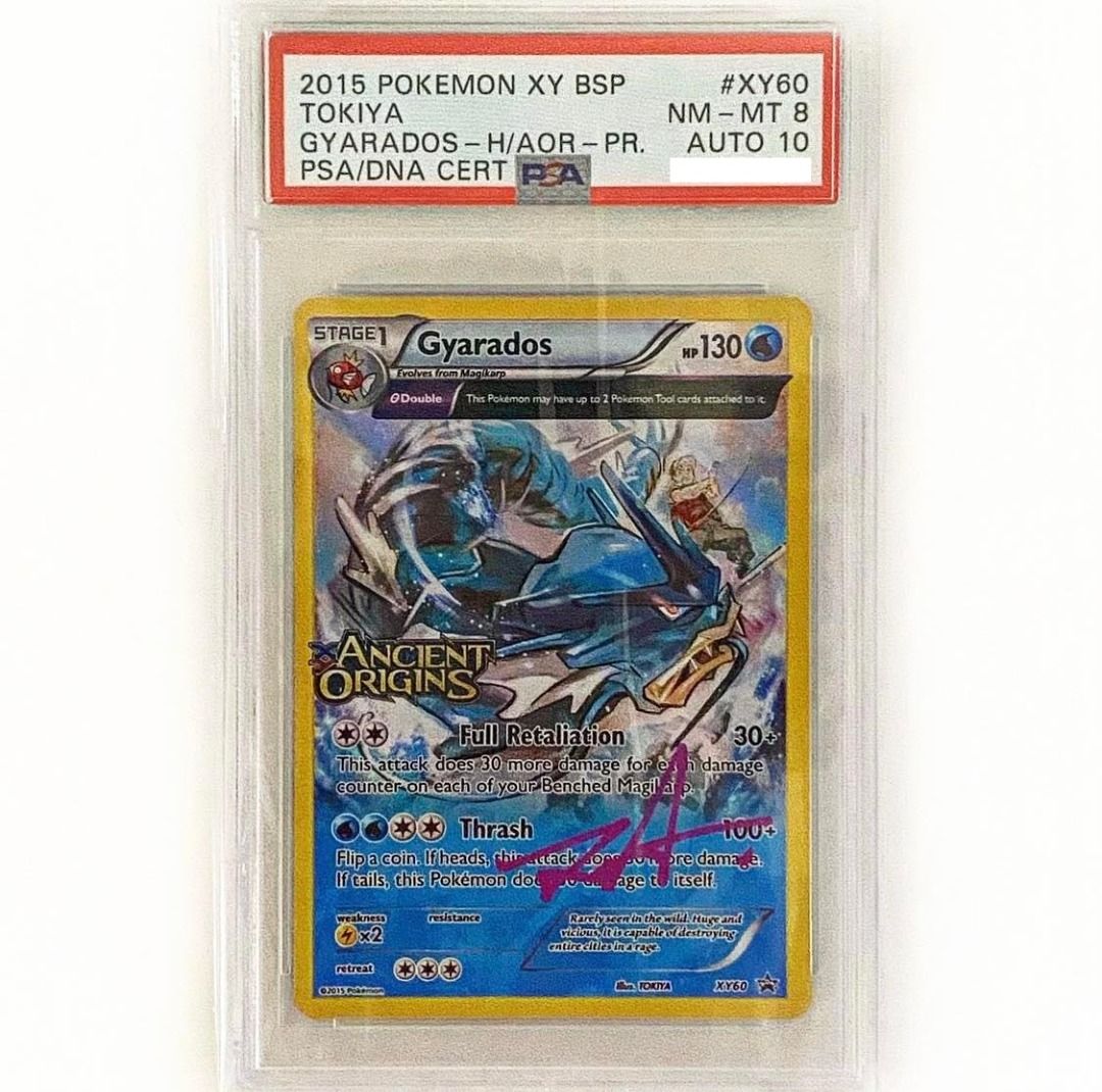 POKEMON GYARADOS SIGNED: JAPANESE ARTIST TOKIYA PSA 8 AUTO 10, Hobbies ...