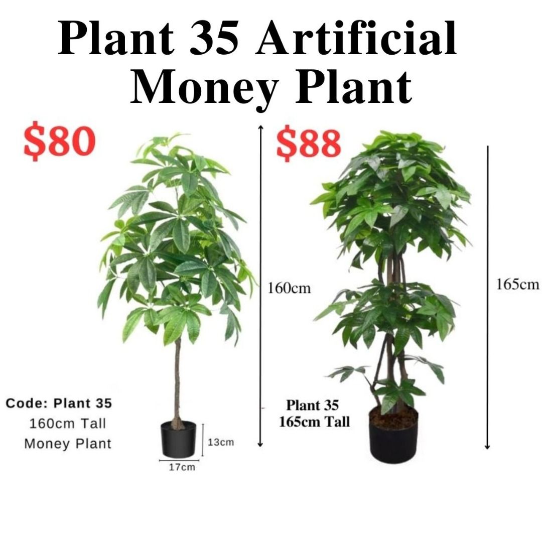[SG STOCKS] Artificial Plant Money Tree Money Plant Fake Tree / Fake ...