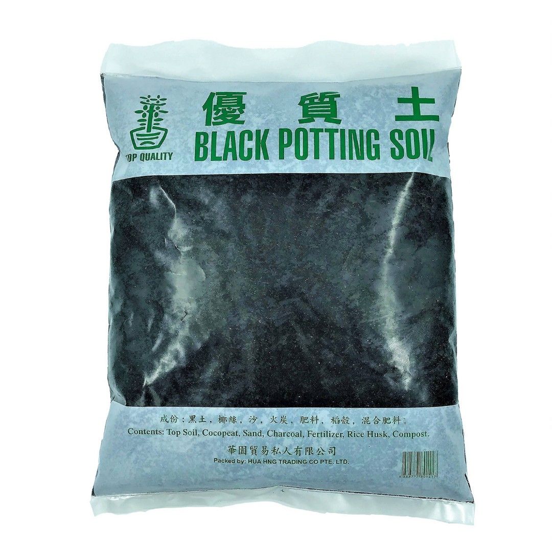Black Potting Soil (5 Ltr), Furniture & Home Living, Gardening, Garden ...