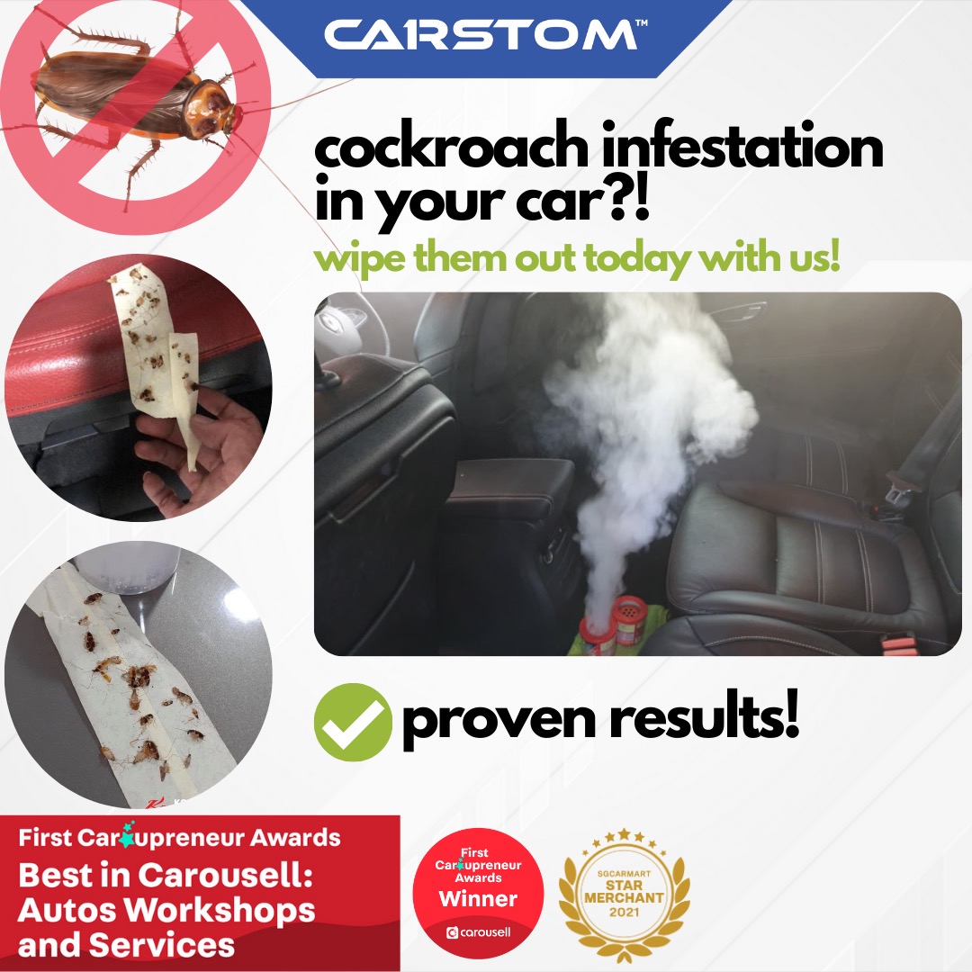 CARSTOM FUMIGATION Cockroach roaches elimination car detailing, Car ...