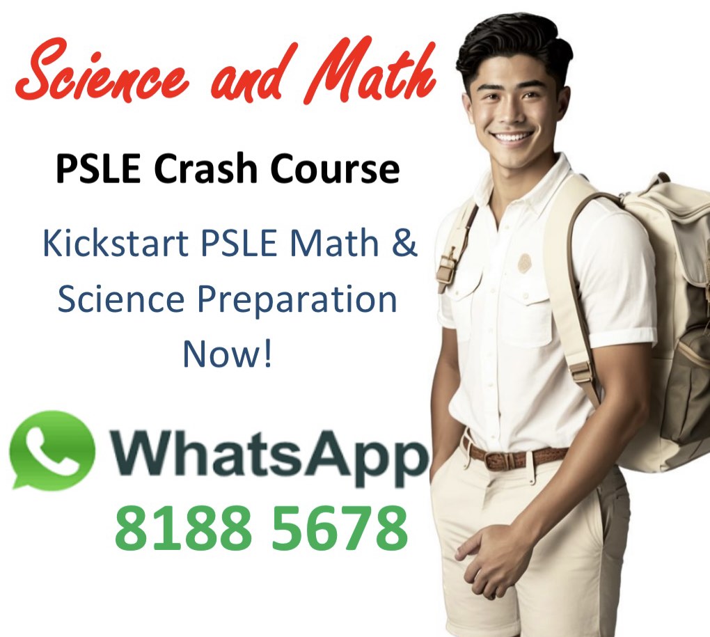 PSLE Science and Math Crash Course in Science and Math Tuition for PSLE ...