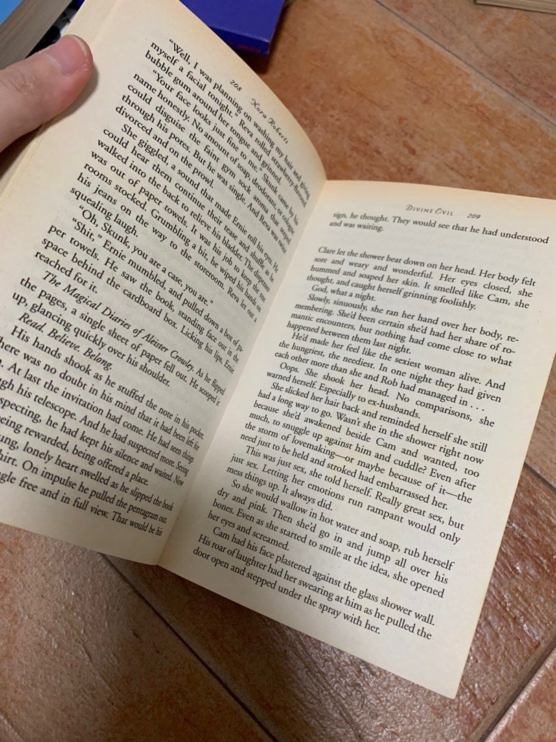 Divine Evil by Nora Roberts book, Hobbies & Toys, Books & Magazines ...