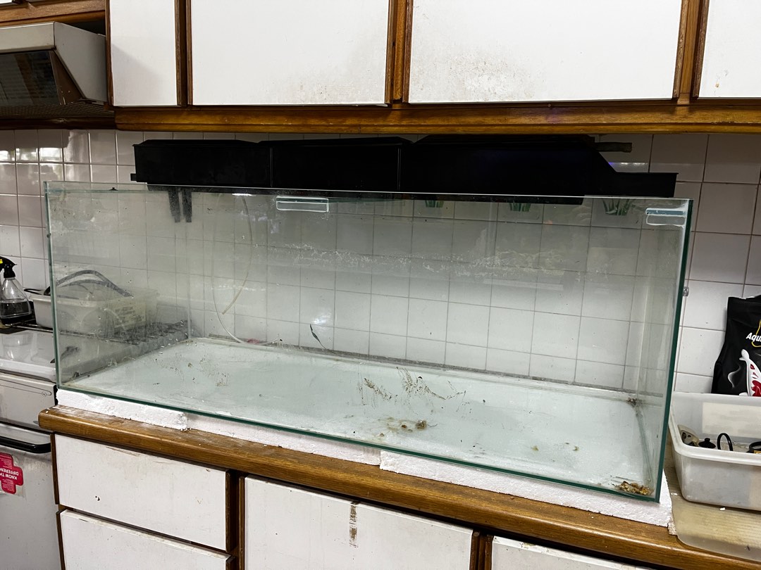 Fish tank 4 ft with full filter set up and pump, Pet Supplies, Homes ...