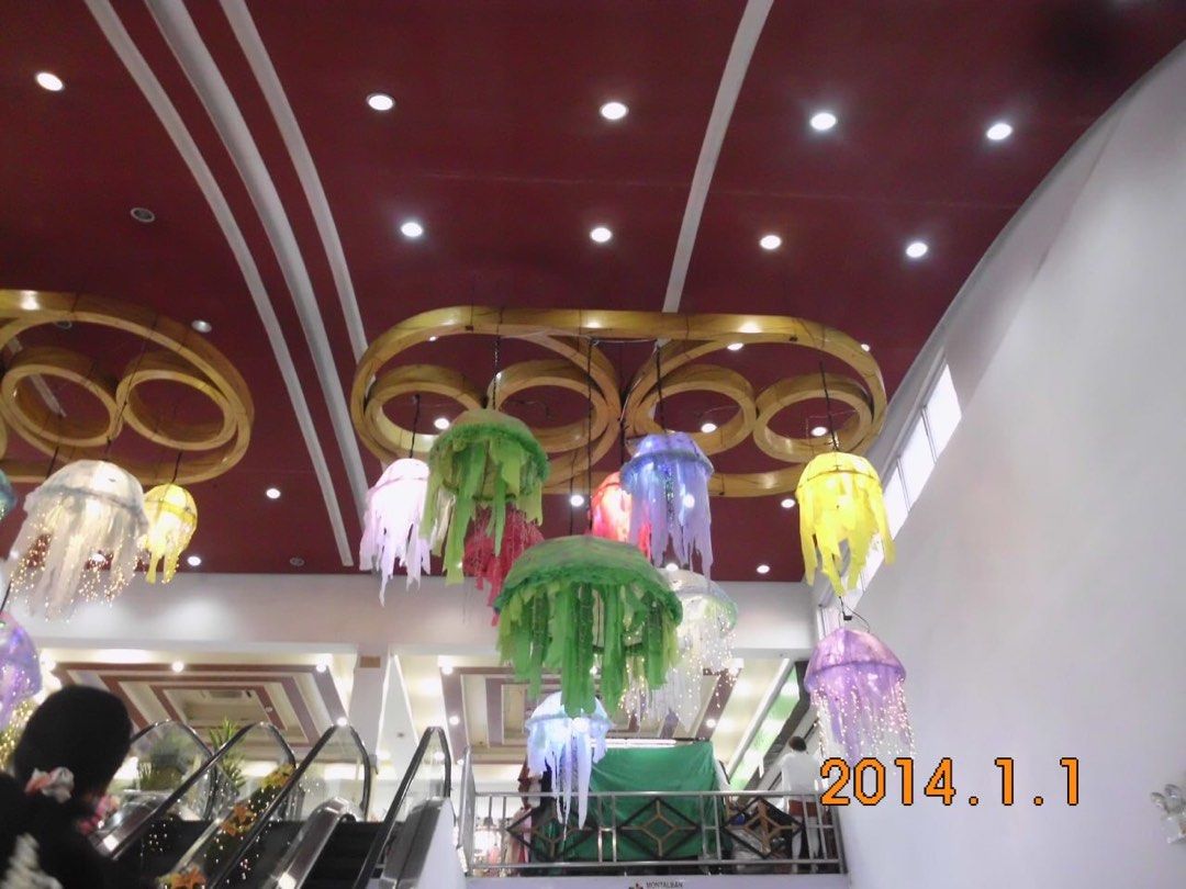 HP CW450T (MAROON), Photography, Cameras on Carousell