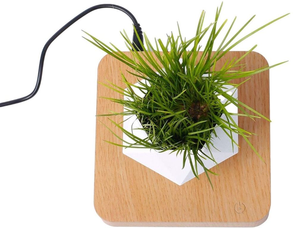 Magnetic Levitation Air Bonsai Pot, Mini Sky-Garden Rotating Flower Pot ...