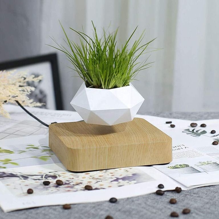 Magnetic Levitation Air Bonsai Pot, Mini Sky-Garden Rotating Flower Pot ...