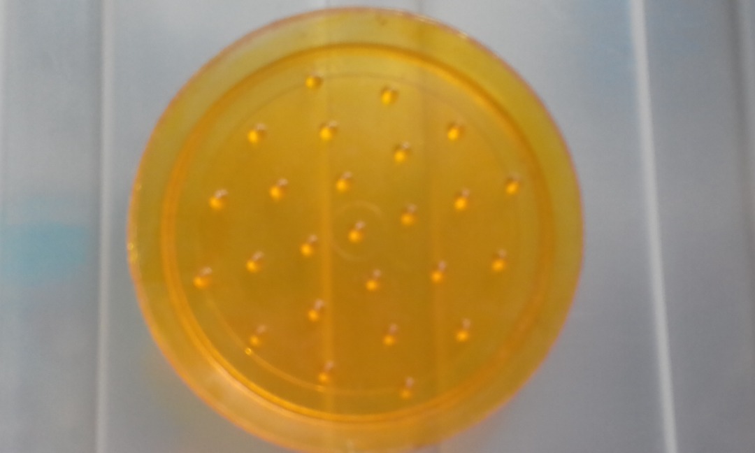 RARE : ANTIQUE/VINTAGE PLASTIC COASTERS, Hobbies & Toys, Memorabilia ...