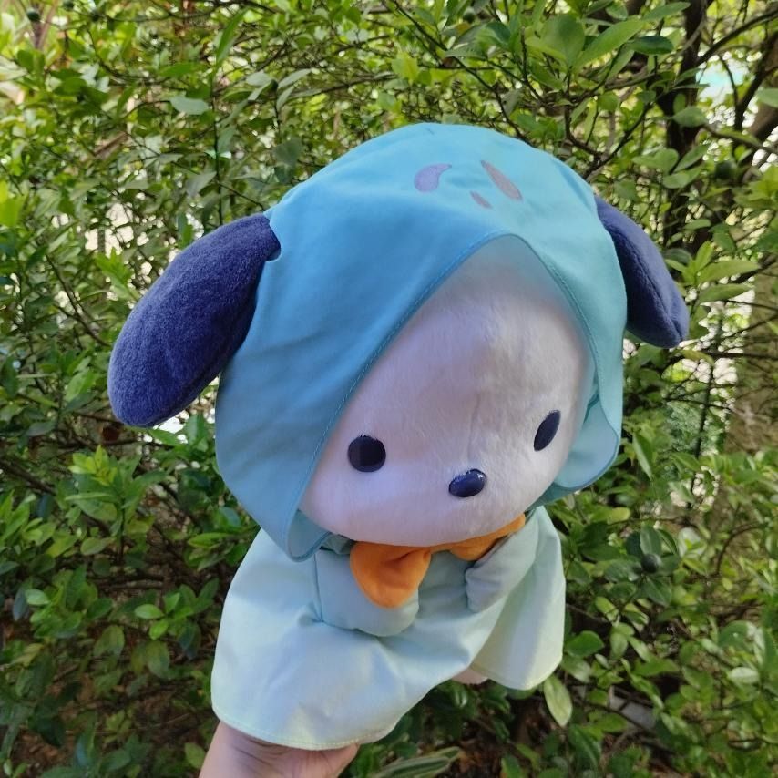 SANRIO Pochacco Plush doll, Hobbies & Toys, Toys & Games on Carousell