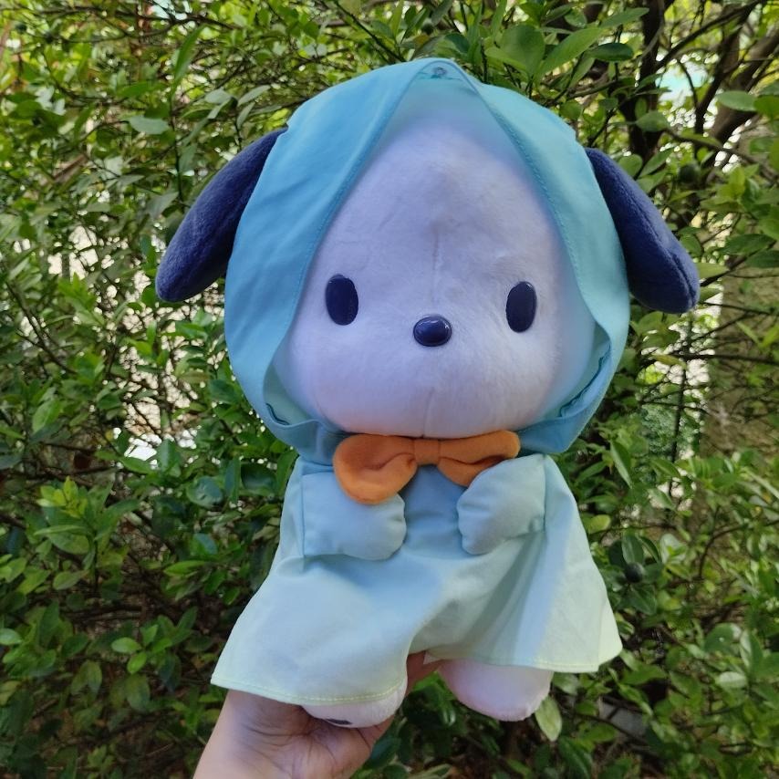 SANRIO Pochacco Plush doll, Hobbies & Toys, Toys & Games on Carousell