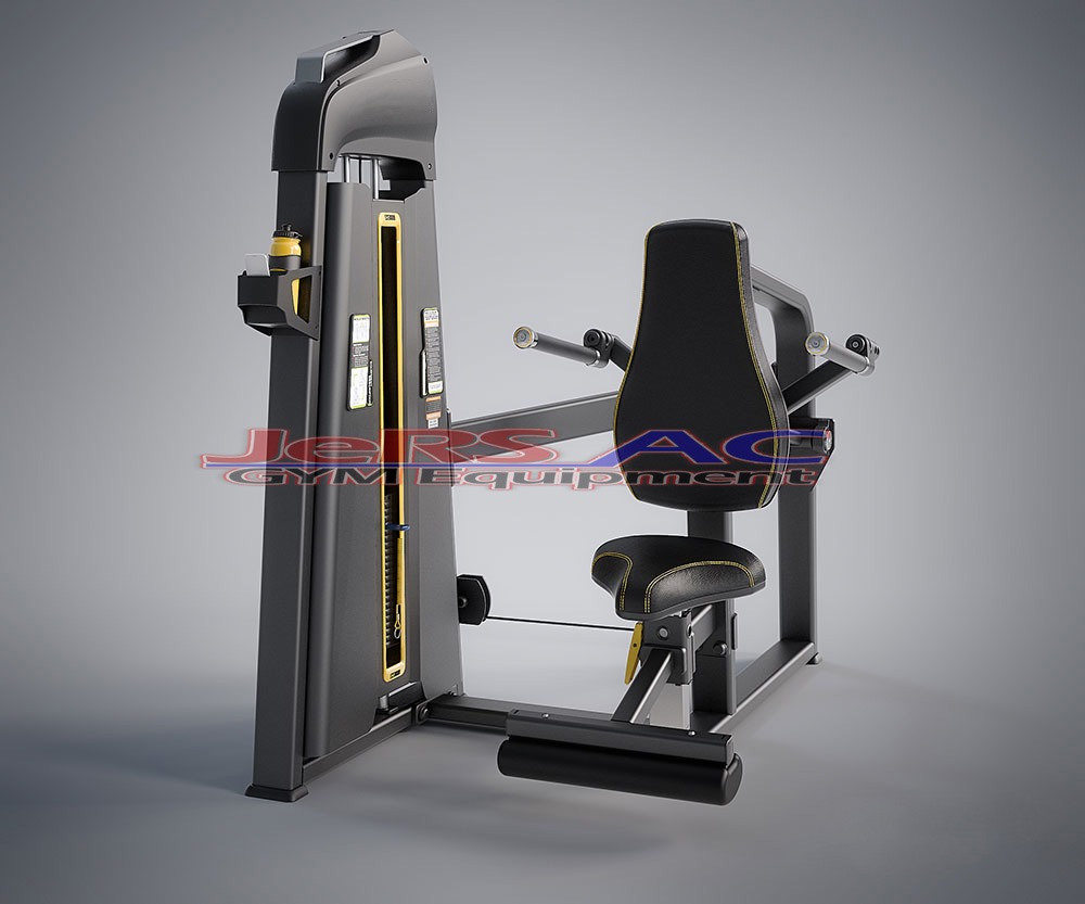Seated Dip Gym Machine Equipment, Sports Equipment, Exercise & Fitness ...