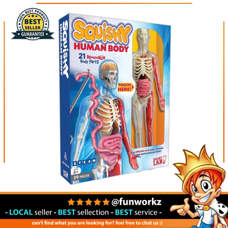 SmartLab Toys Squishy Human Body, Hobbies & Toys, Toys & Games on Carousell