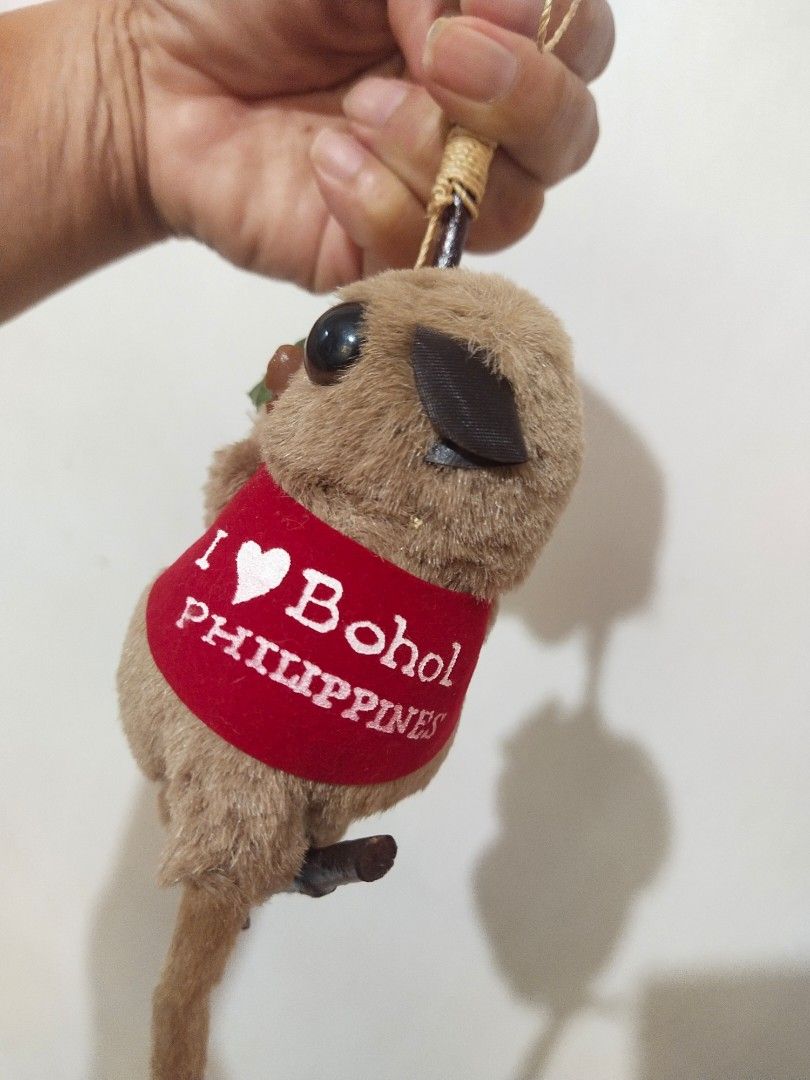 Tarsier Souvenirs from Bohol/Display figure & Necklace/Cute set ...