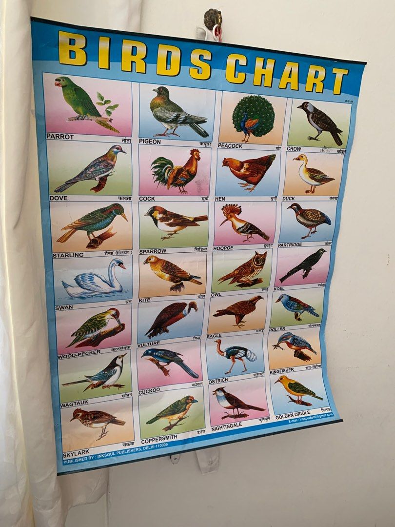 Wall charts, Hobbies & Toys, Stationery & Craft, Art & Prints on Carousell