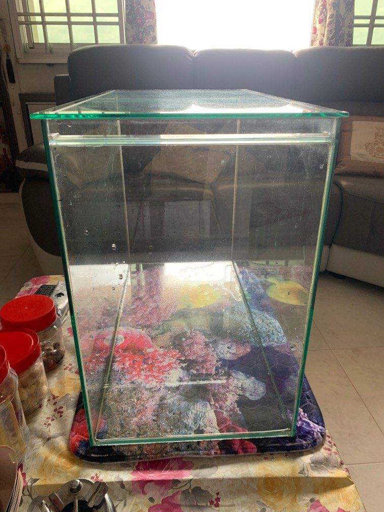 2ft fish tank, Pet Supplies, Homes & Other Pet Accessories on Carousell