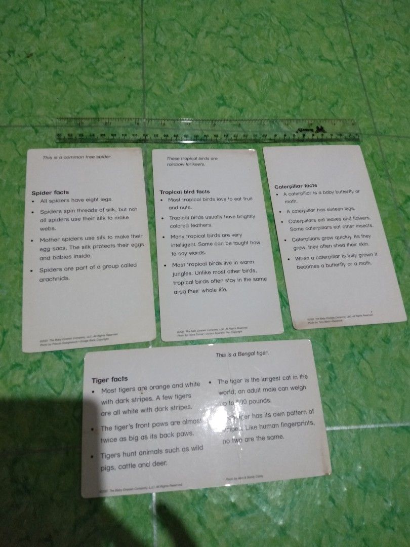 Baby Einstein : Animal discovery cards, Toys & Collectibles, Lainnya di ...