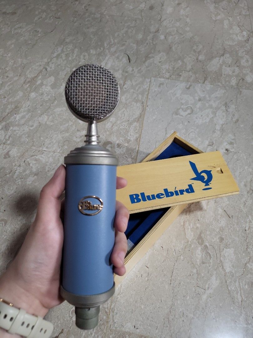 Bluebird Condenser Microphone, Audio, Microphones on Carousell
