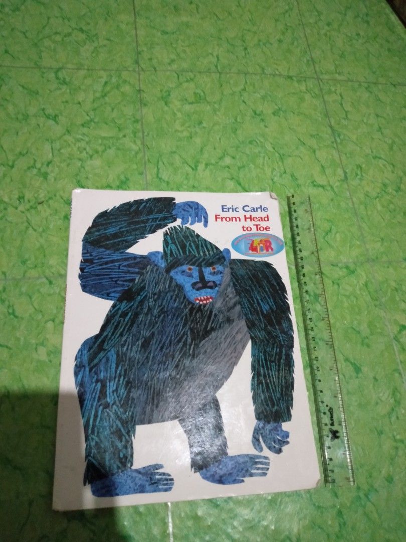 Eric Carle: From Head to Toe, Buku & Alat Tulis, Buku Anak-Anak di ...