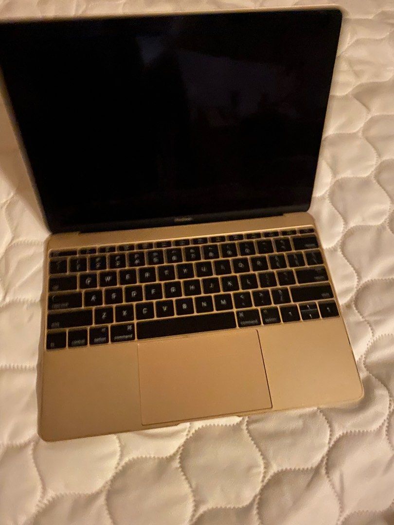 Gold APPLE MacBook 512GB, Computers & Tech, Laptops & Notebooks on ...