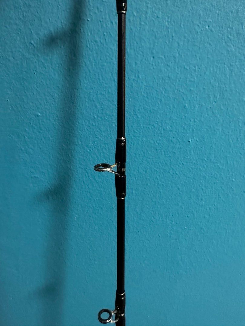 Jigging Master Terminator 4-8 multiplier, Sports Equipment, Fishing on ...