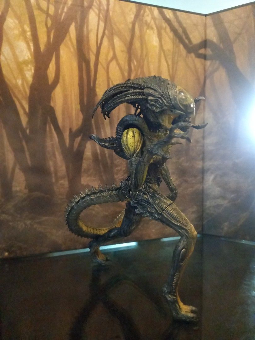Predalien figure NECA alien predator, Hobbies & Toys, Memorabilia ...