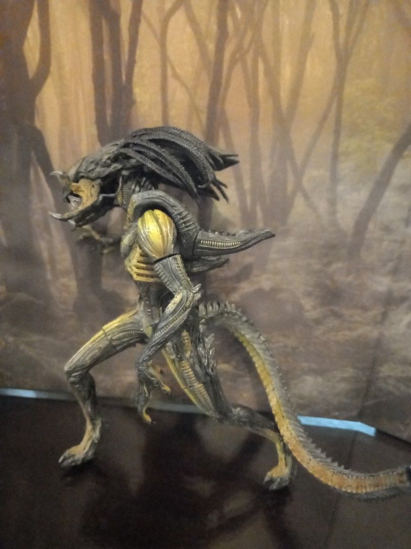 Predalien figure NECA alien predator, Hobbies & Toys, Memorabilia ...