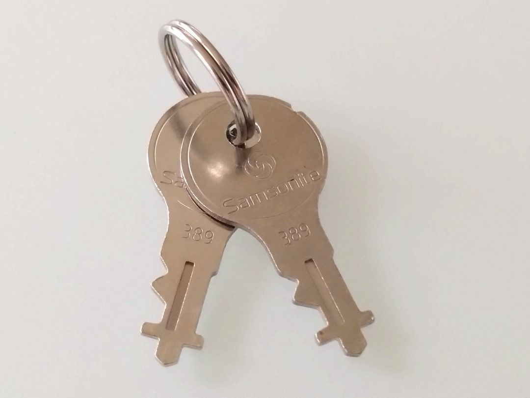 Samsonite Epsilon 28 Inches Luggage Bag, Hobbies & Toys, Travel ...