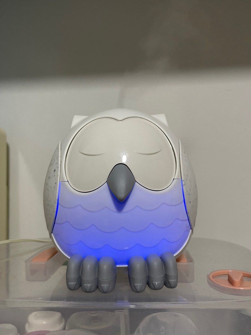 Snowy Feather the owl Diffuser YL - Free Rack and 1 oil (Preloved ...