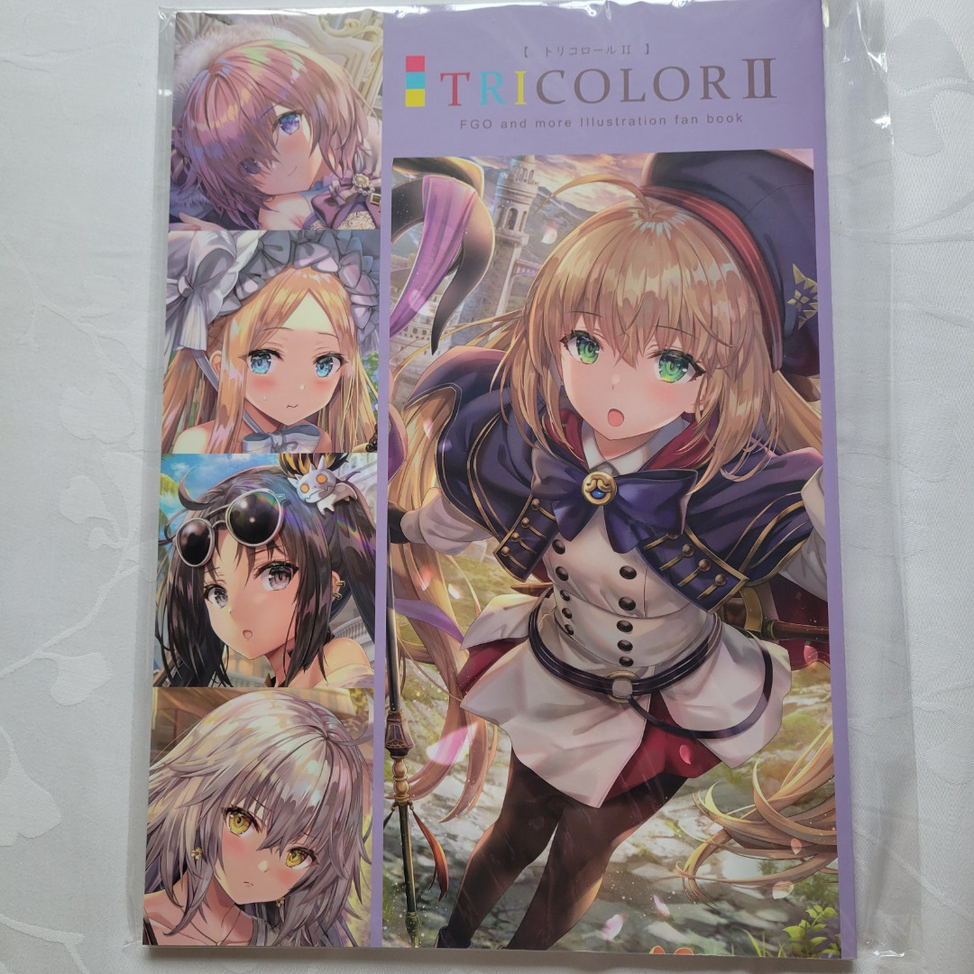 [VALUE FOR MONEY] Tricolor Volume II illustrated by torino FGO Fate Illustration Collection ...