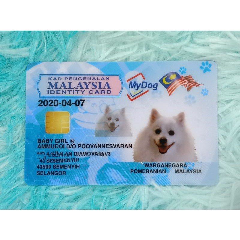 [FREE] Custom Made IC DOG COMEL on Carousell