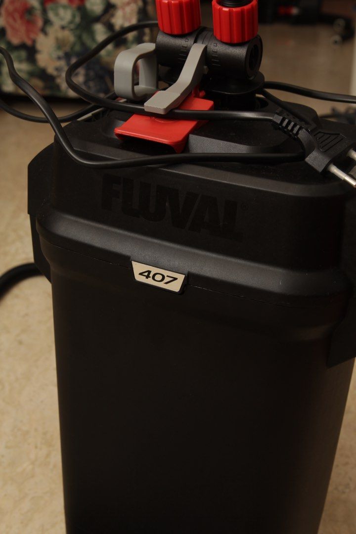 Fluval 407 Canister filter, Pet Supplies, Homes & Other Pet Accessories ...
