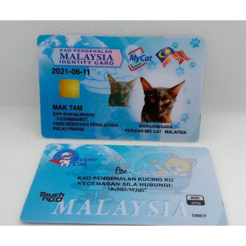 [FREE] PVC CARD IC KUCING COMEL, Pet Supplies, Homes & Other Pet ...