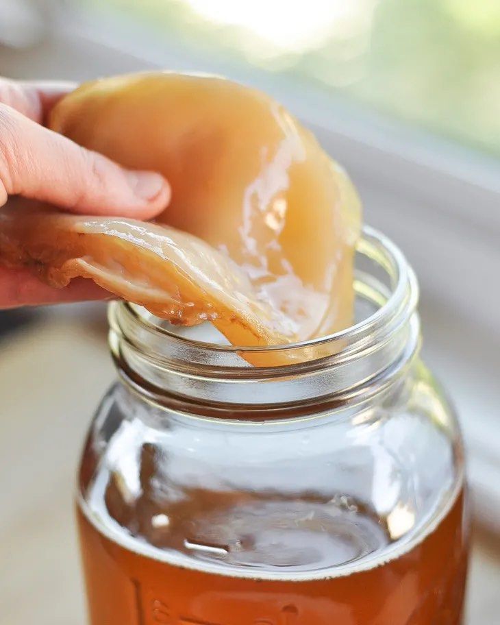 Fresh Kombucha DIY Kit, Food & Drinks, Fresh Produce on Carousell