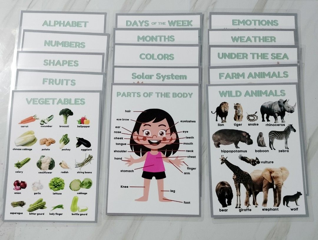 Kids Educational Posters Laminated Charts A4 size, Hobbies & Toys ...