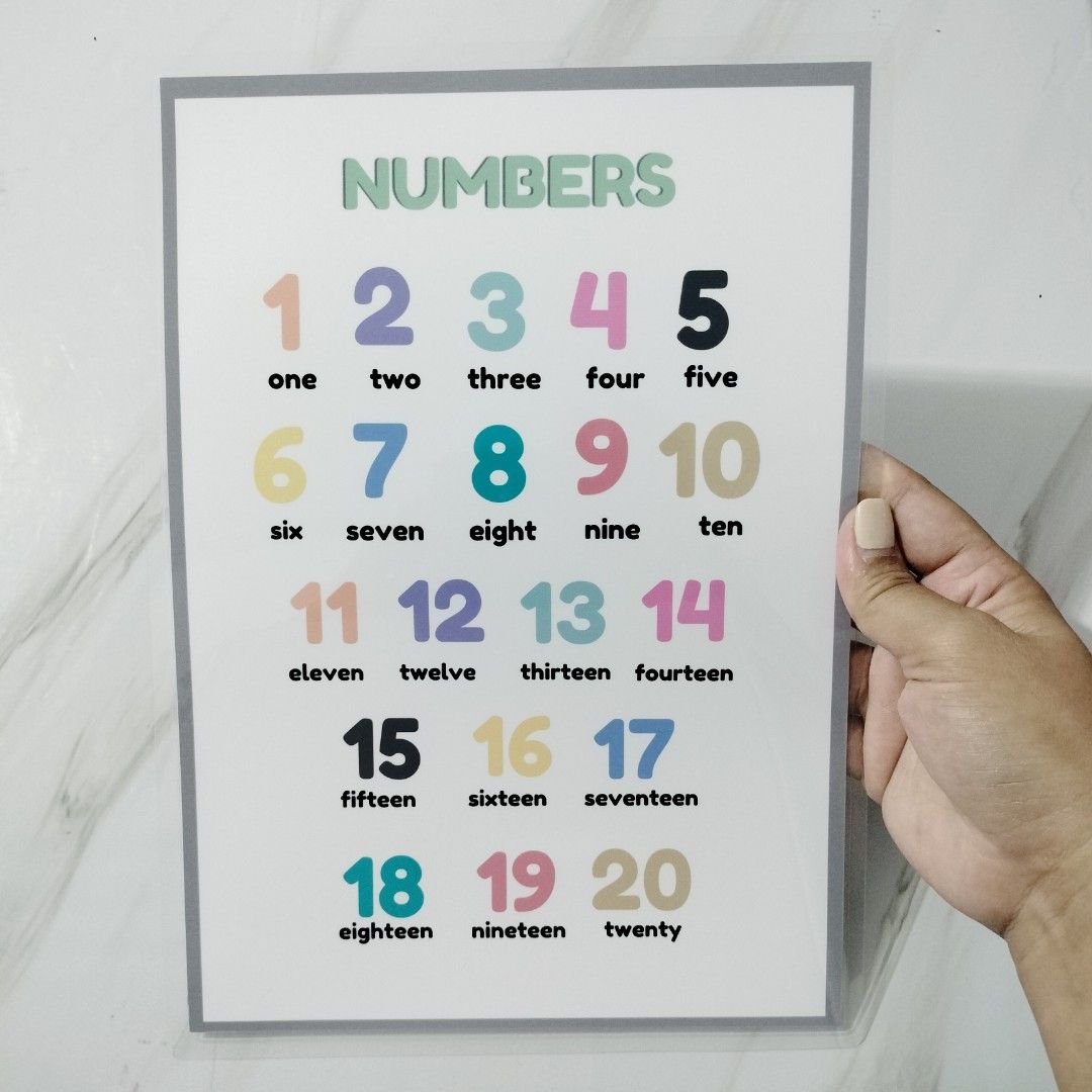 Kids Educational Posters Laminated Charts A4 size, Hobbies & Toys ...