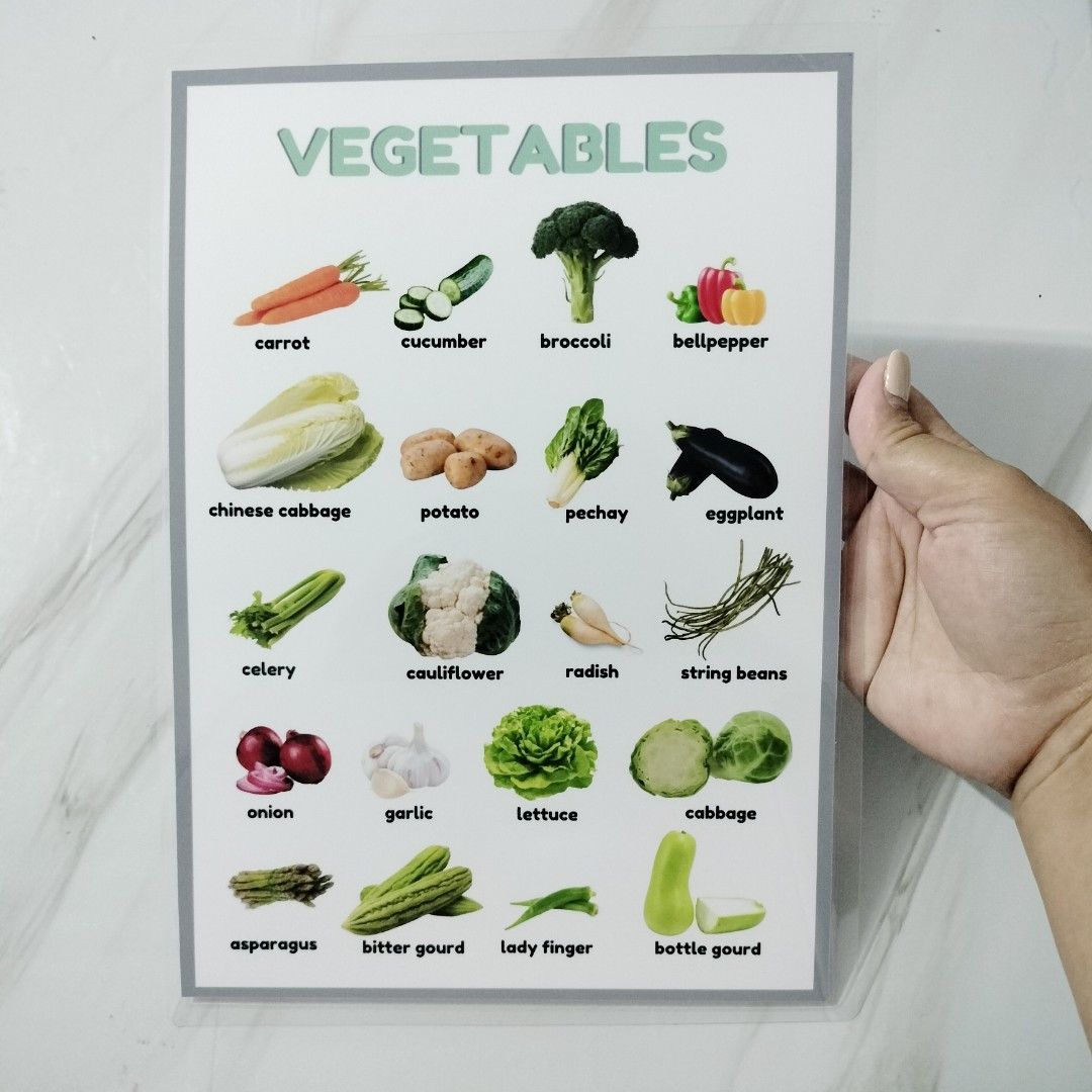 Kids Educational Posters Laminated Charts A4 size, Hobbies & Toys ...