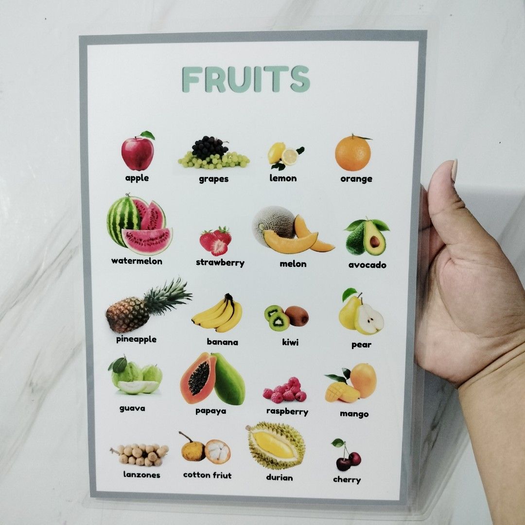 Kids Educational Posters Laminated Charts A4 size, Hobbies & Toys ...