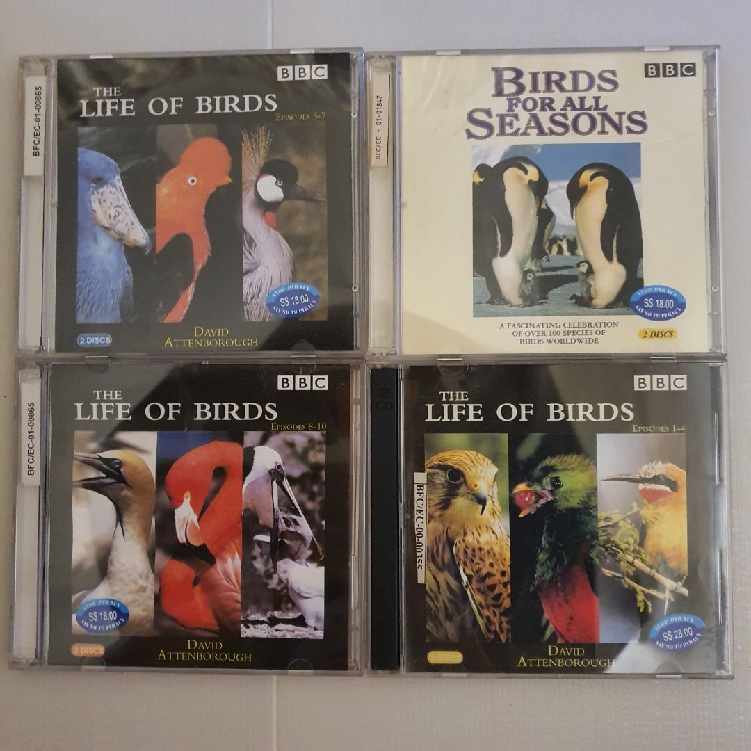 Original - USED VCDs, Hobbies & Toys, Music & Media, CDs & DVDs on ...