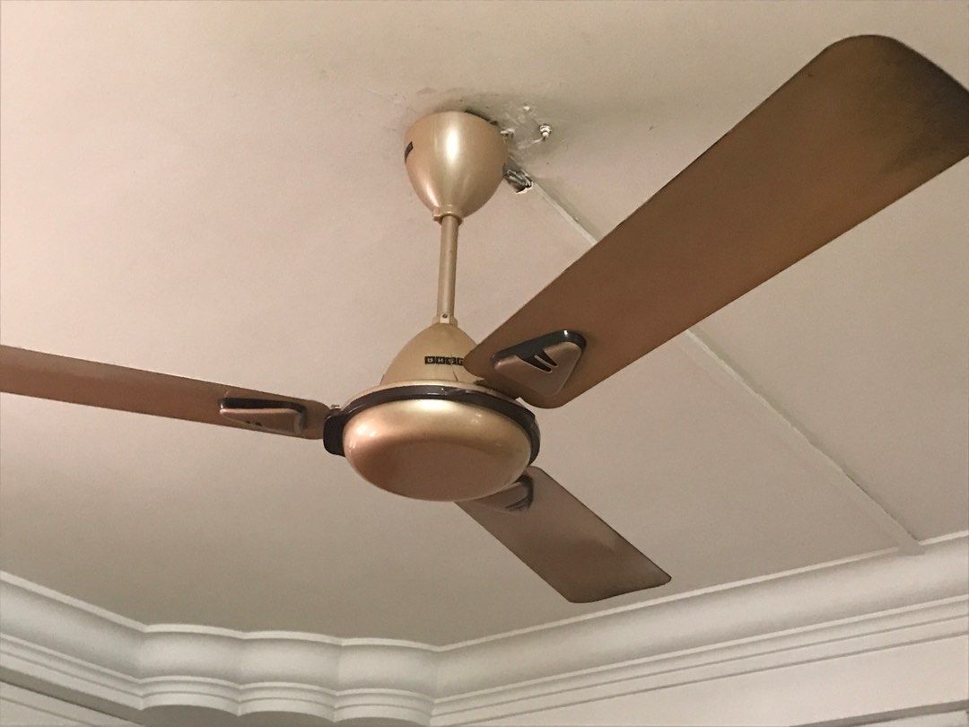 Used ceiling fan, Furniture & Home Living, Lighting & Fans, Fans on ...