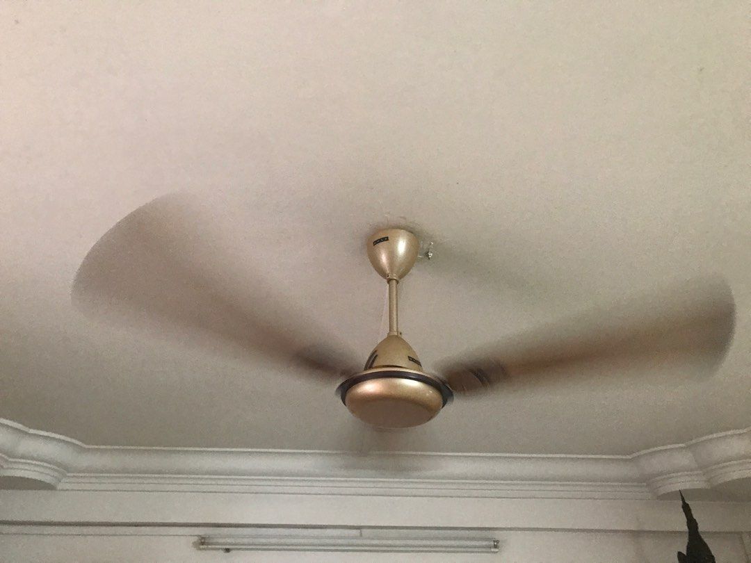 Used ceiling fan, Furniture & Home Living, Lighting & Fans, Fans on ...