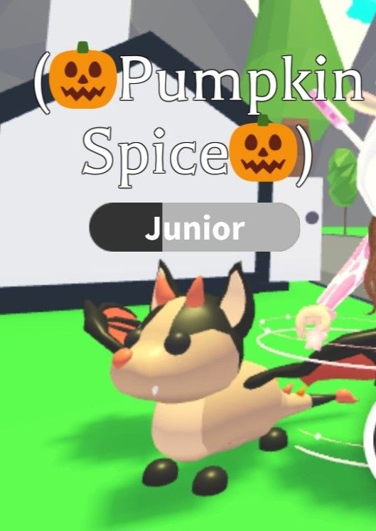 WTS Roblox Adopt Me Pet legendary Normal Bat Dragon very rare, Video ...