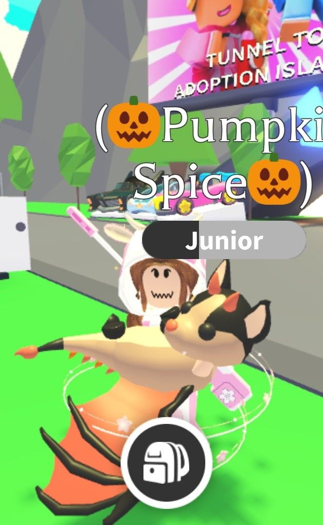 WTS Roblox Adopt Me Pet legendary Normal Bat Dragon very rare, Video ...