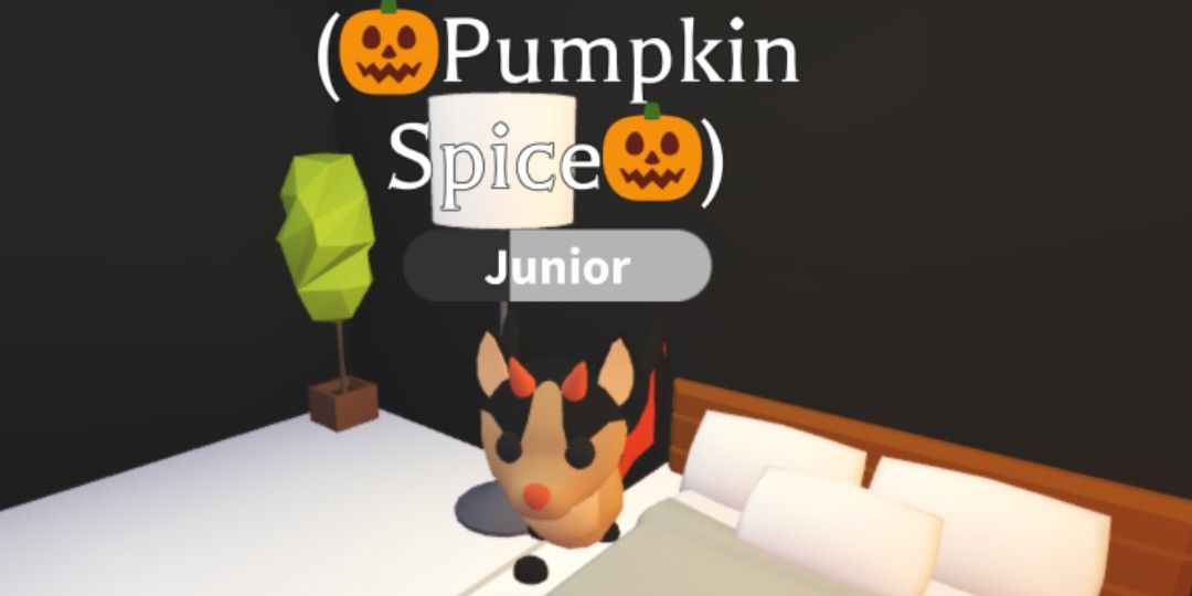 WTS Roblox Adopt Me Pet legendary Normal Bat Dragon very rare, Video ...
