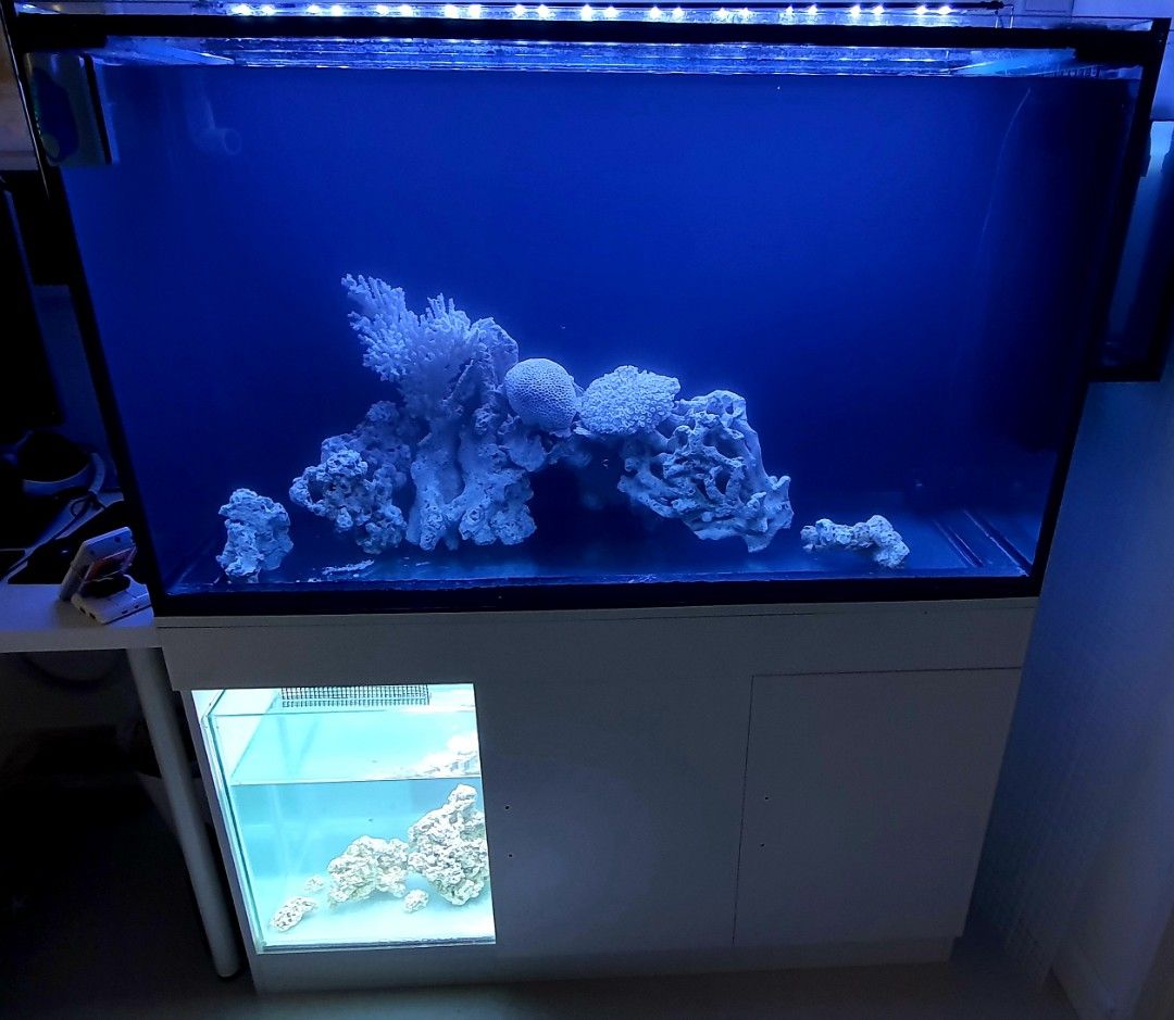 4ft marine fish reef tank with cabinet and sump, Pet Supplies, Homes ...