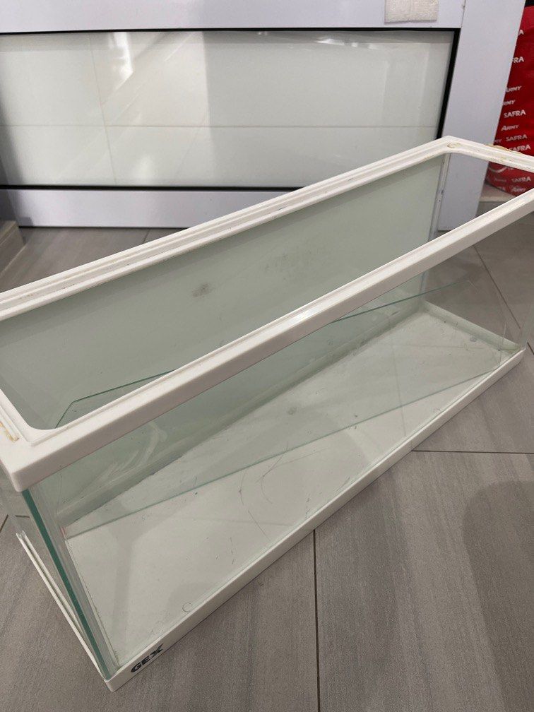 GEX Desk Boy 600, Pet Supplies, Homes & Other Pet Accessories on Carousell