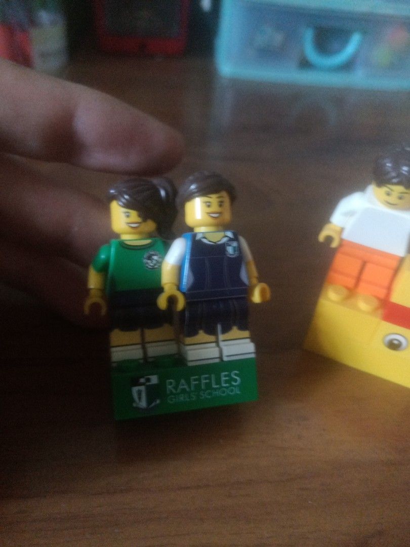 Lego - Raffles Girls School Collection, Hobbies & Toys, Memorabilia ...