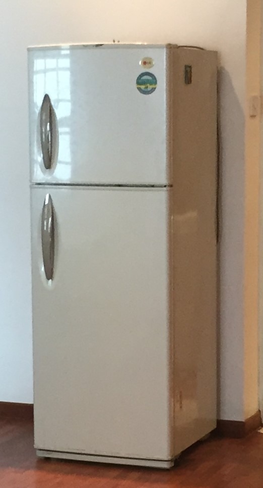 LG Express Cool 2-Door Fridge, TV & Home Appliances, Kitchen Appliances ...