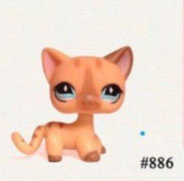 LPS littlest pet shop lps shorthair cat shc #886, Hobbies & Toys, Toys ...